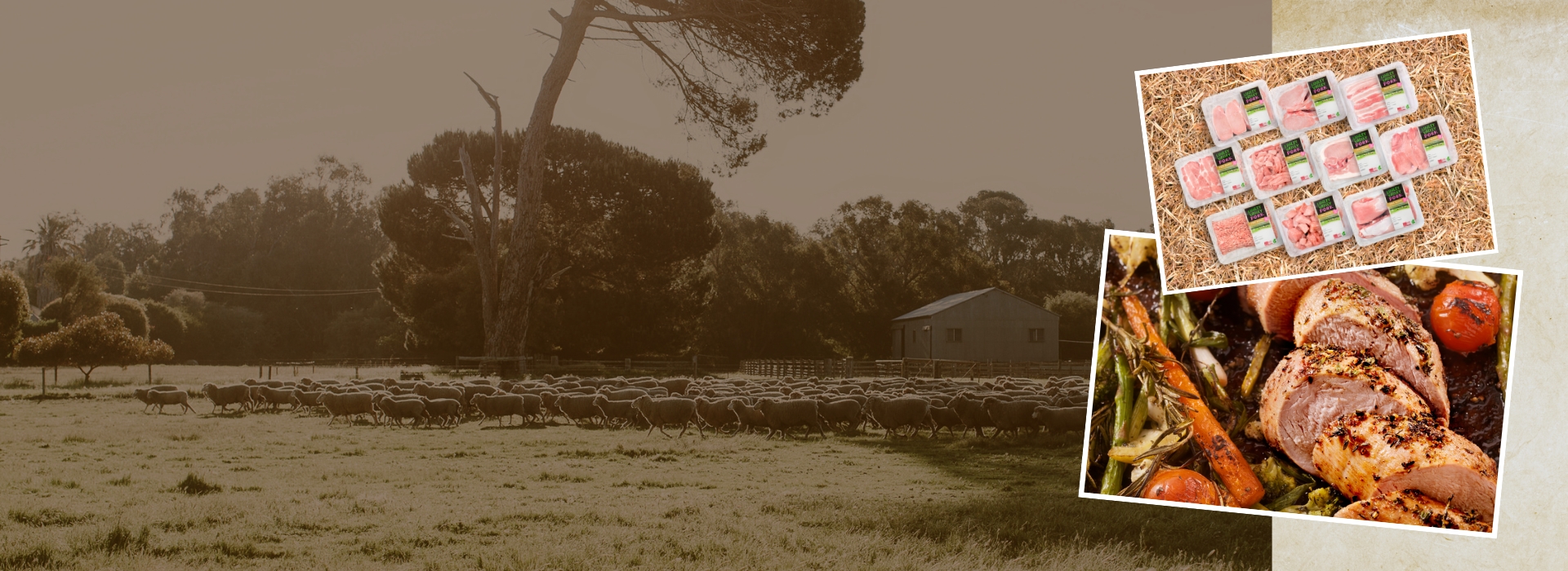 Craig Mostyn Group - One of Australia's leading diversified food and ...